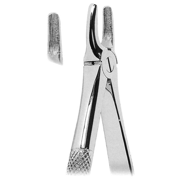 Extracting Forcep Fig. 2